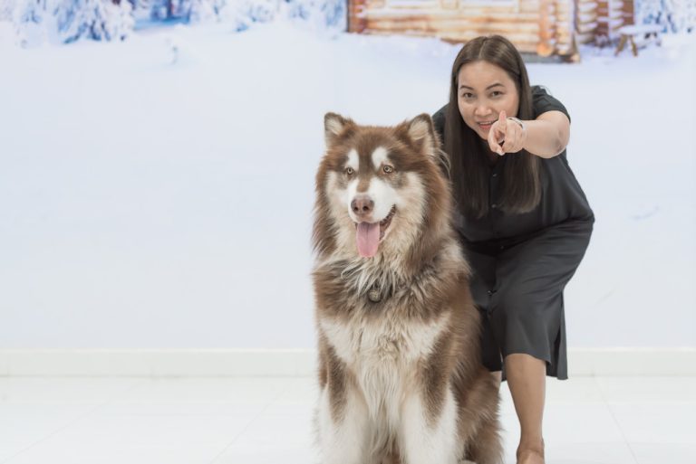 10 Ras Anjing Besar: Yang Mana Peliharaanmu?