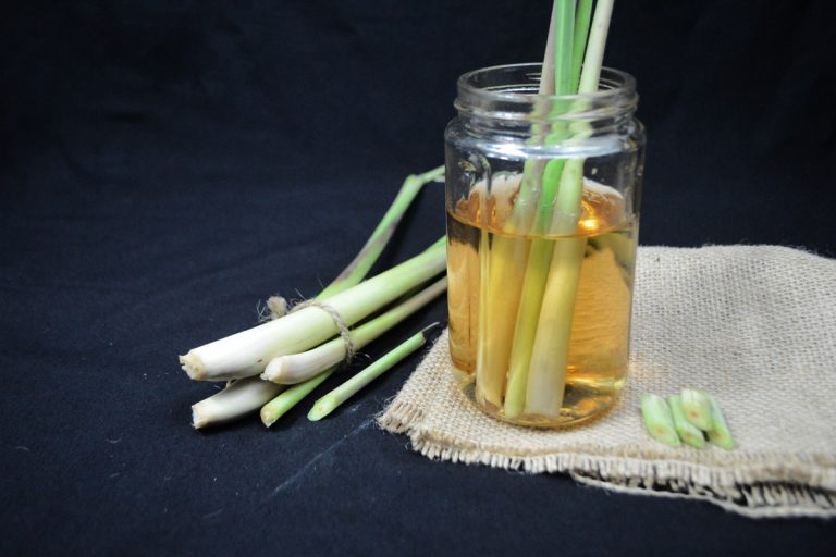 9 Manfaat Sereh Untuk Kesehatan: Sudah Tahu?