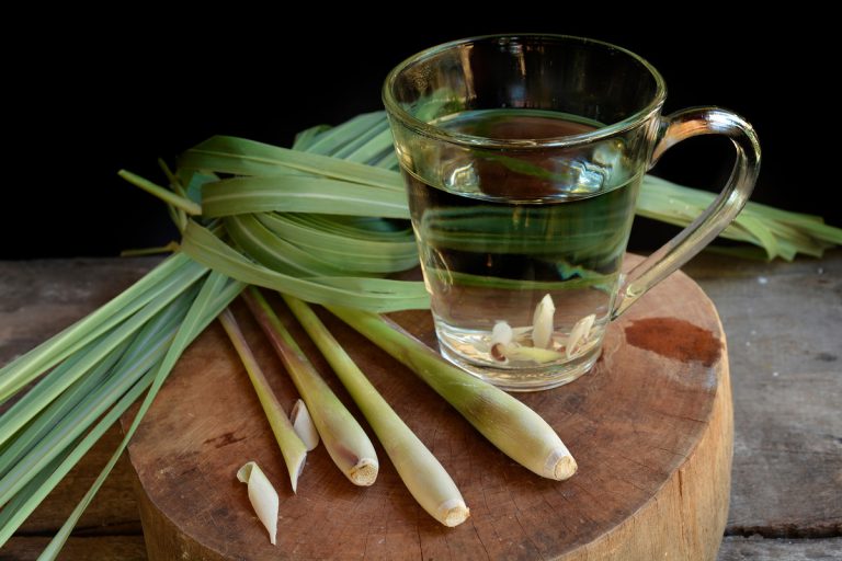 9 Manfaat Sereh Untuk Kesehatan: Sudah Tahu?